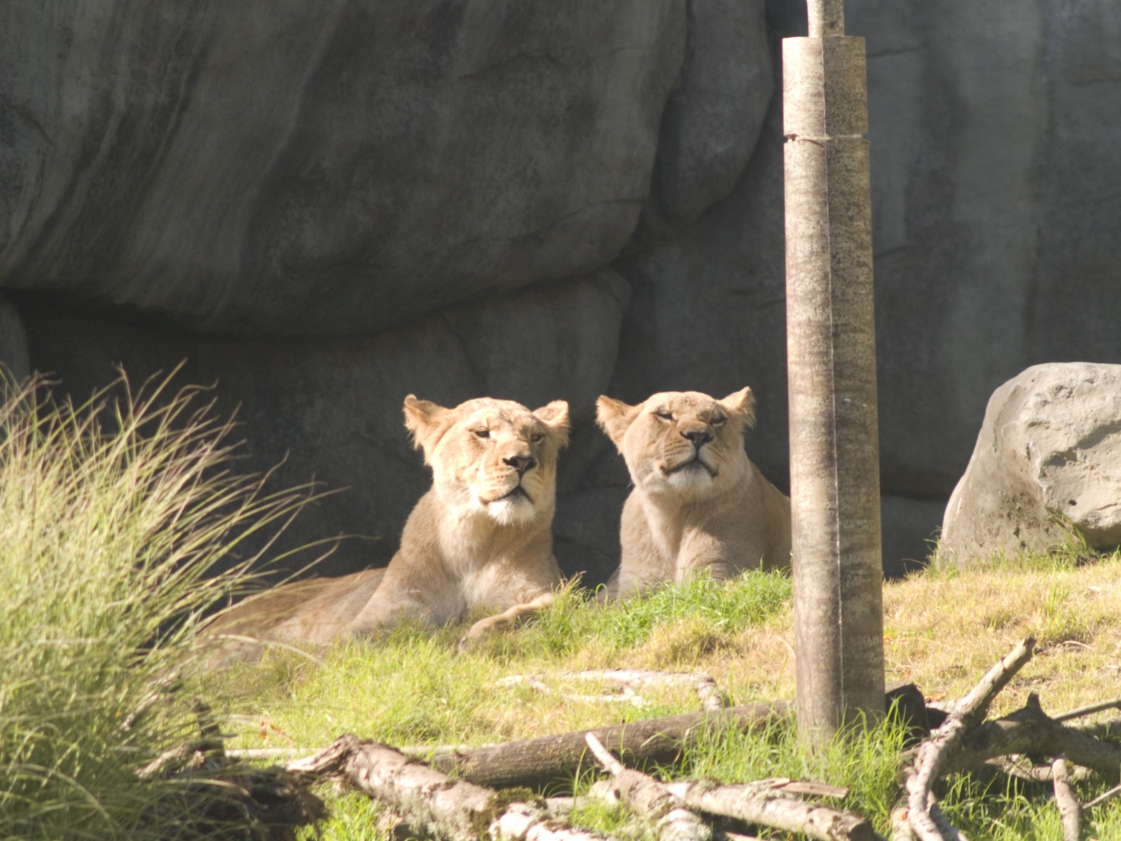 Early Fall visit to the Oregon Zoo - Pacific Northwest Photoblog