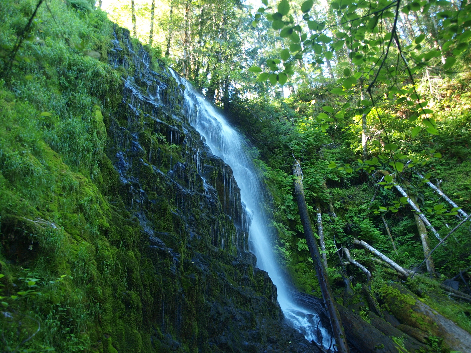 University Falls, Tillamook National Forest - Oregon - Pacific ...