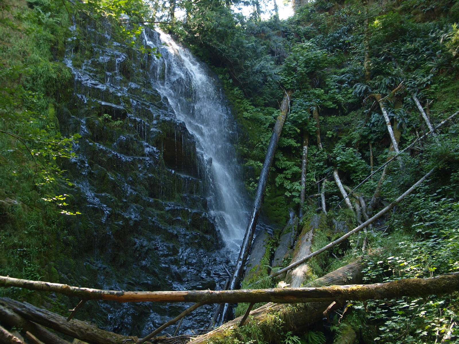 University Falls, Tillamook National Forest - Oregon - Pacific ...