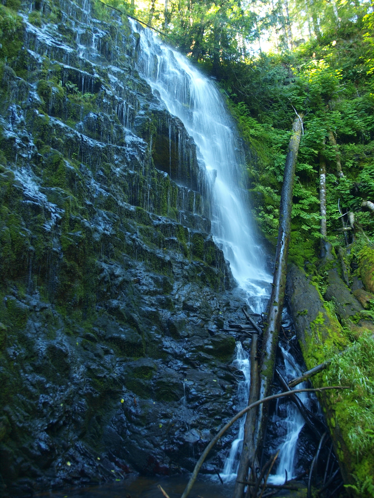 University Falls, Tillamook National Forest - Oregon - Pacific ...