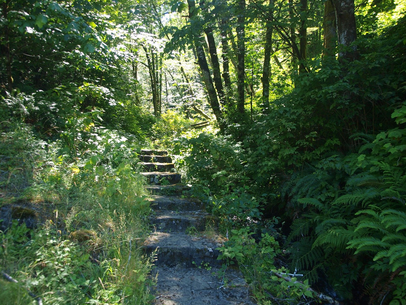 Bridge Creek Falls, Tillamook County, Oregon - Pacific Northwest Photoblog
