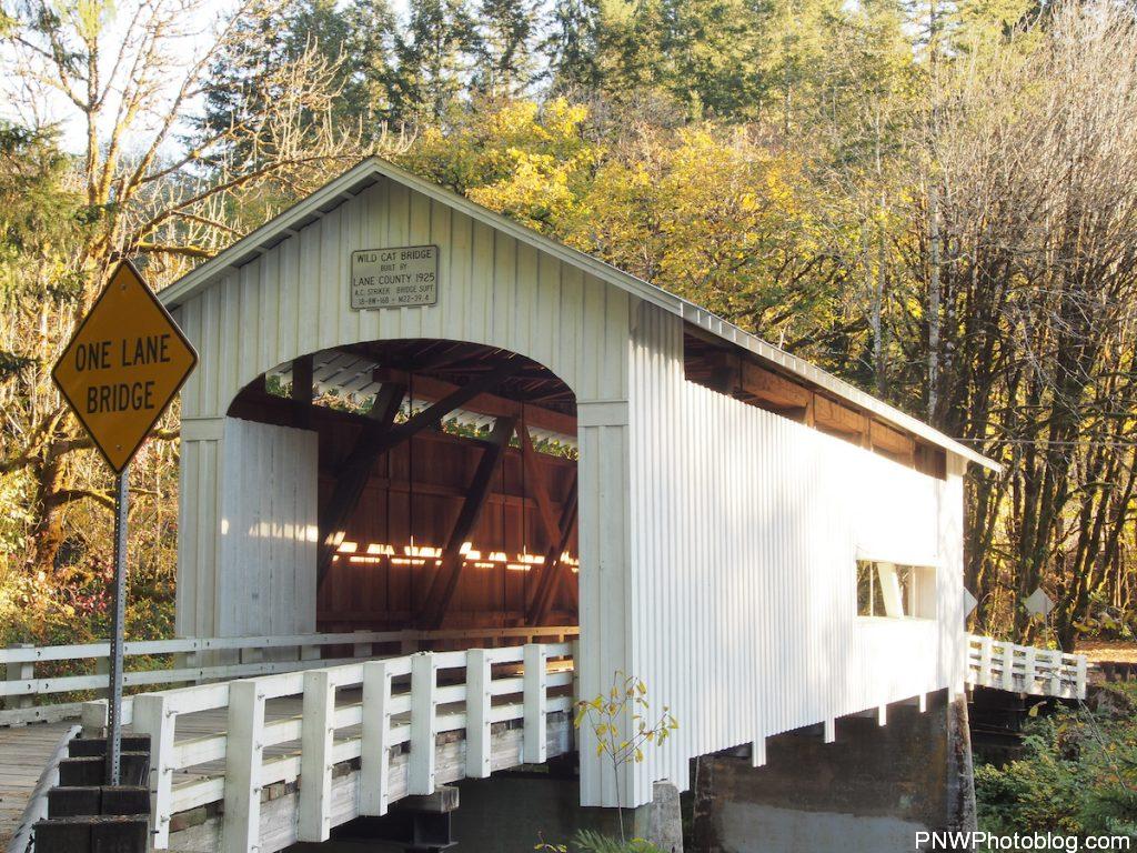 Wildcat Covered Bridge (Wild Cat Covered Bridge)- Lane County, Oregon ...